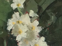 Jill Barthorpe - Recent Work